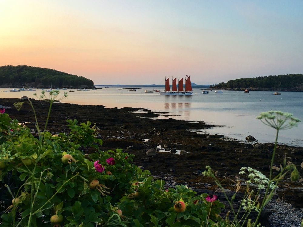 Bar Harbor Shore Path - Maine Trail Finder