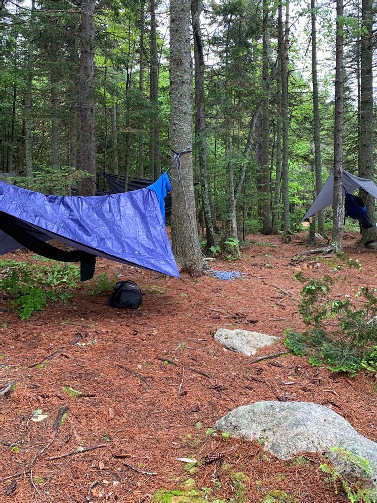 Moose River Bow Trip - Maine Trail Finder