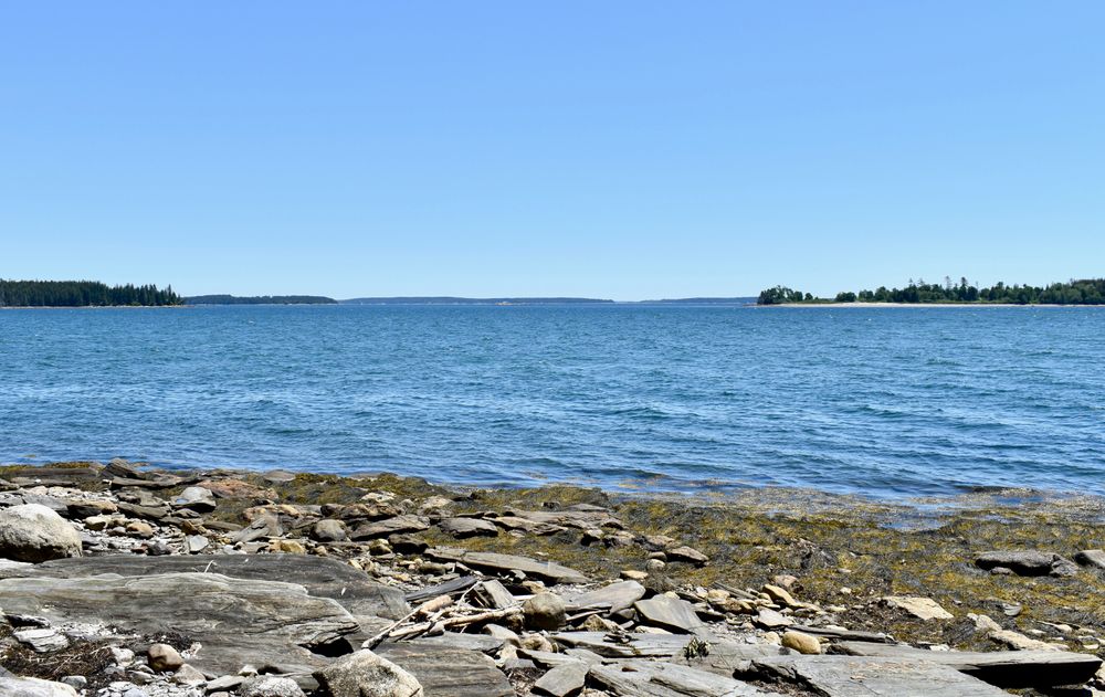 Bass Rock Preserve - Maine Trail Finder
