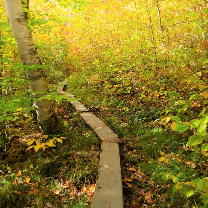 Pogy Notch Trail - Maine Trail Finder