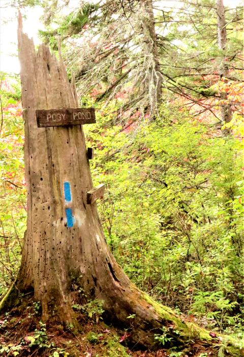 Pogy Notch Trail - Maine Trail Finder