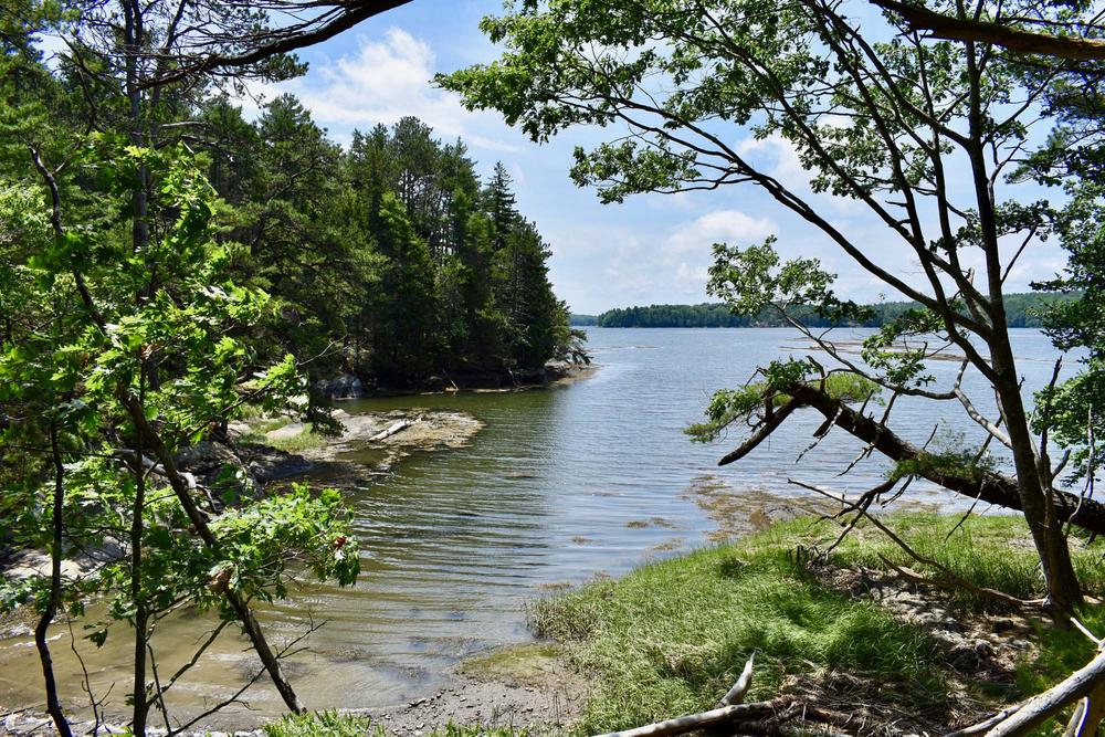 Bonyun Preserve - Maine Trail Finder