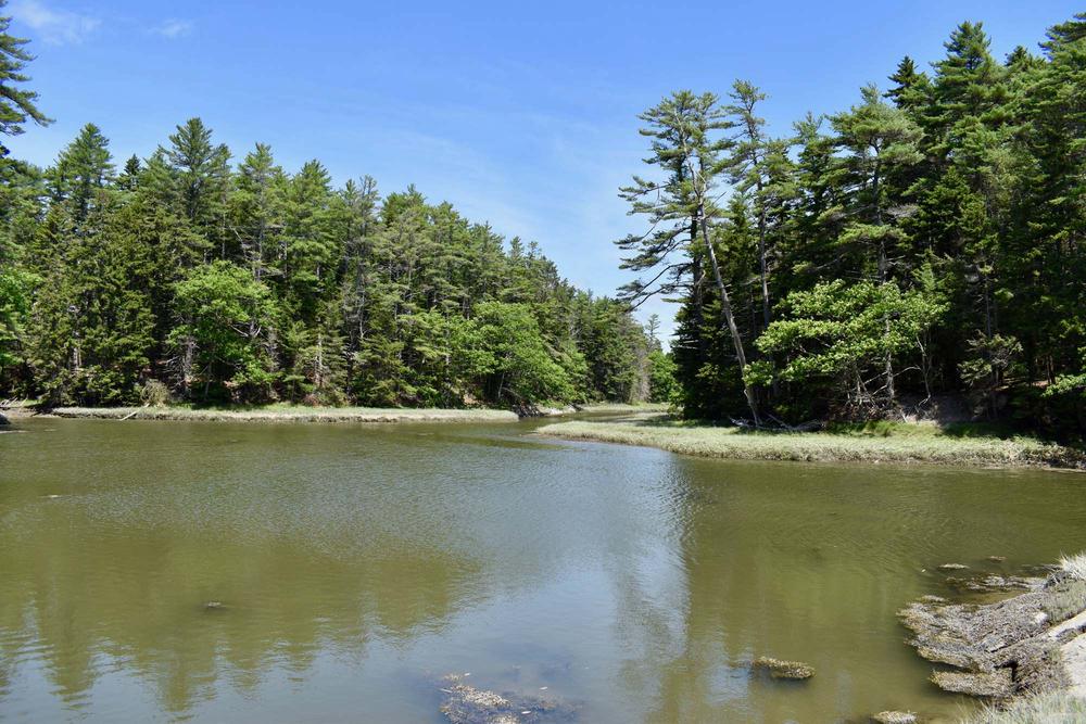 Bonyun Preserve - Maine Trail Finder