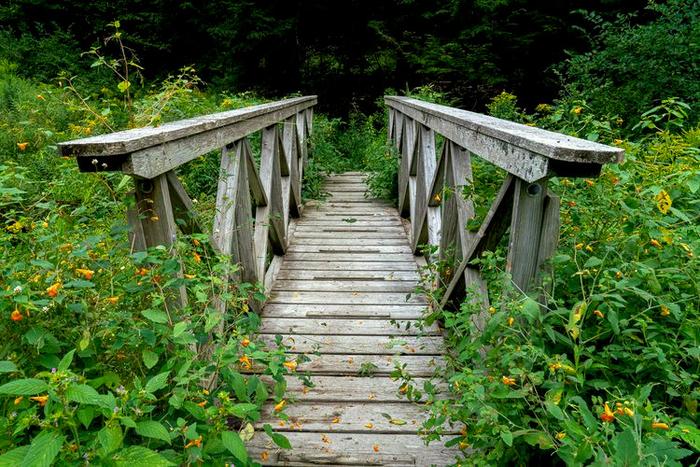 East Freeport Trail System - Maine Trail Finder