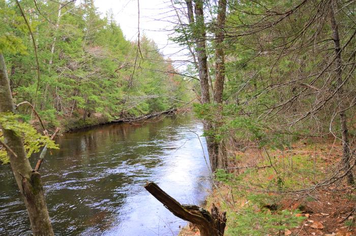 Crooked River Forest at Intervale - Maine Trail Finder