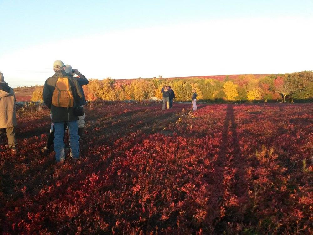 Clarry Hill - Maine Trail Finder