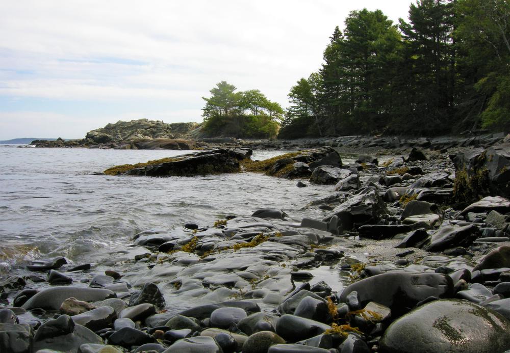 Acadia National Park - Compass Harbor - Maine Trail Finder