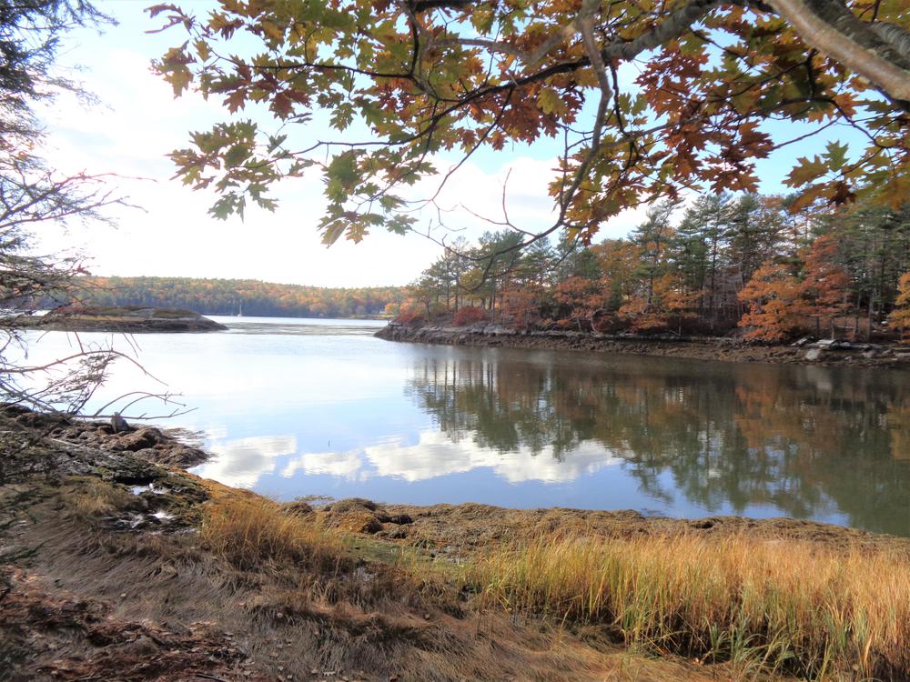 Bonyun Preserve - Maine Trail Finder