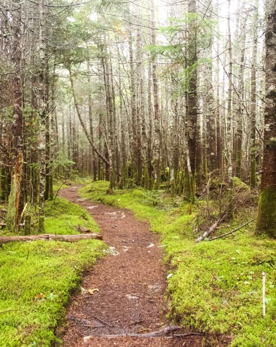 Doubletop Mountain - Maine Trail Finder