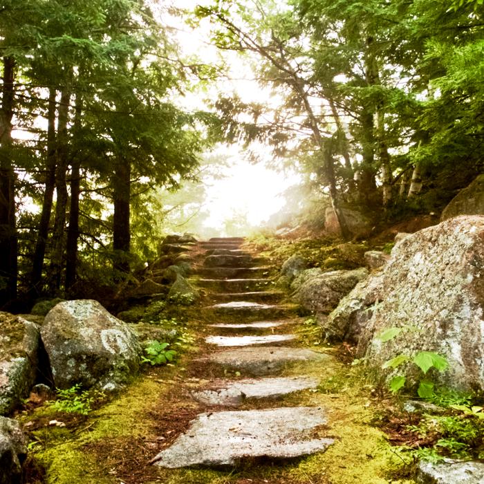Acadia National Park - Kurt Diederichs Climb & Homans Path Loop - Maine ...