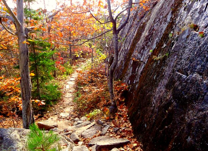 Acadia National Park - Kurt Diederichs Climb & Homans Path Loop - Maine ...