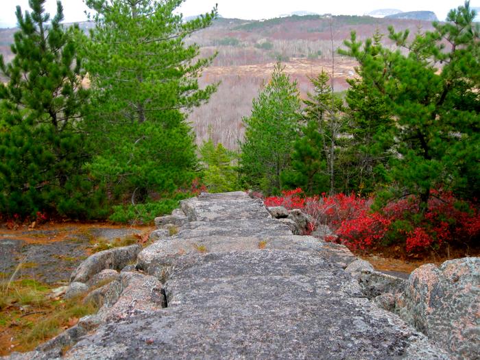 Acadia National Park - Kurt Diederichs Climb & Homans Path Loop - Maine ...