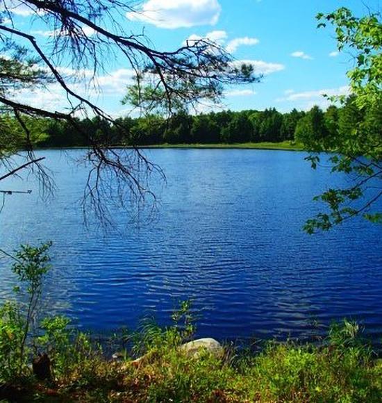 Garcelon Wildlife Management Area South - Maine Trail Finder