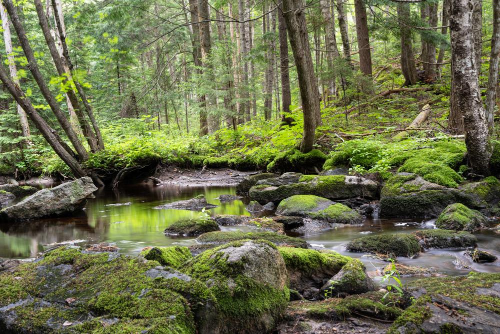 Goose River Peace Corps Preserve - Maine Trail Finder