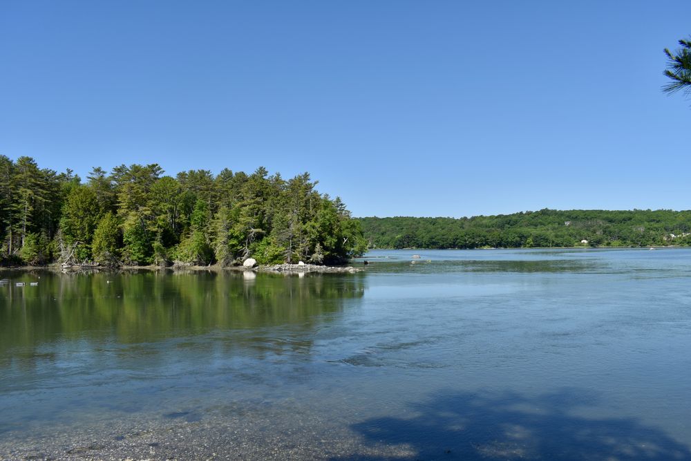 Great Salt Bay Farm - Maine Trail Finder