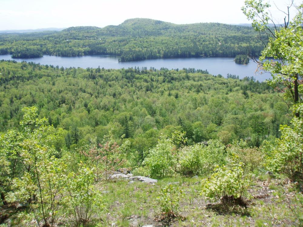 Raymond Community Forest - Maine Trail Finder