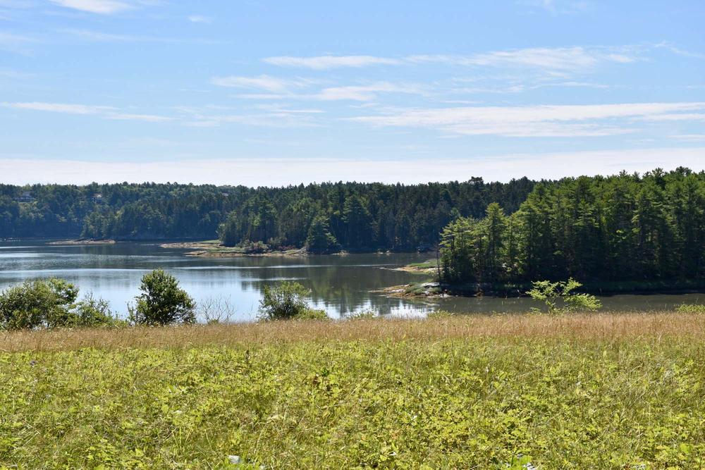 Hamilton Audubon Sanctuary - Maine Trail Finder