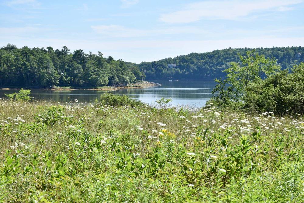 Hamilton Audubon Sanctuary - Maine Trail Finder
