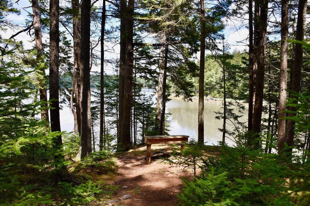 Hamilton Audubon Sanctuary - Maine Trail Finder
