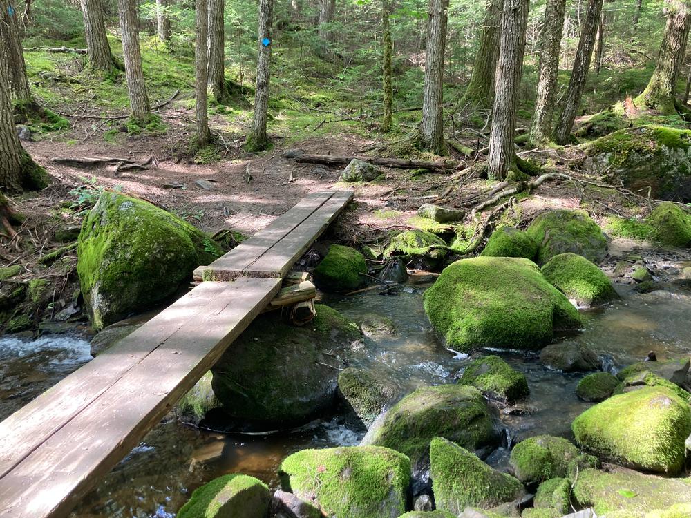 Mariaville Falls - Maine Trail Finder