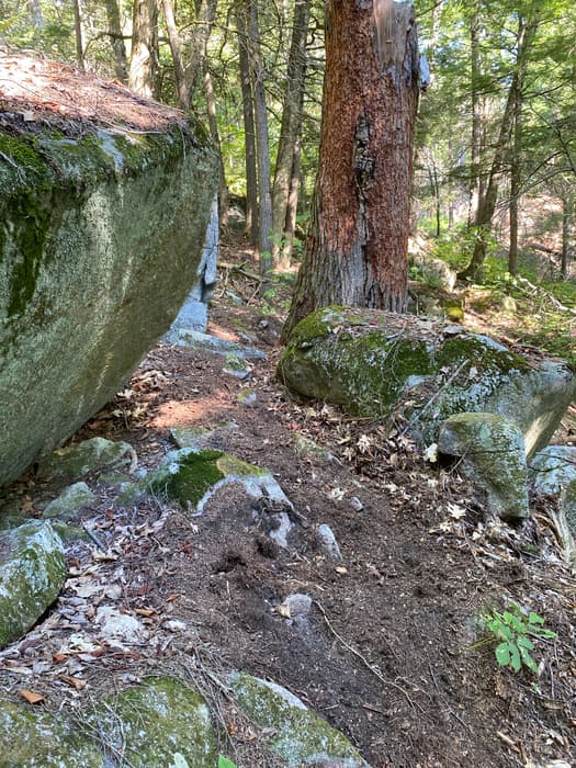 The Mountain & Quill Hill - Maine Trail Finder