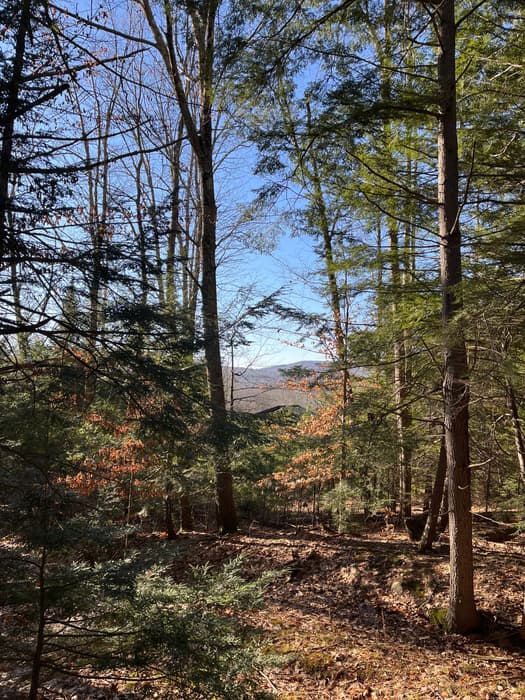 The Mountain & Quill Hill - Maine Trail Finder