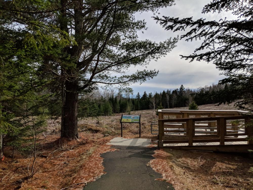 Timberdoodle Trail - Maine Trail Finder