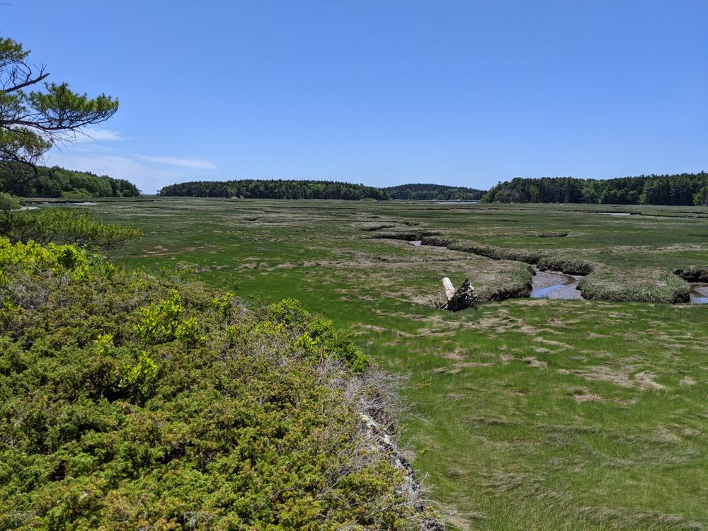 Spirit Pond and McDonald Sanctuary Preserve - Maine Trail Finder