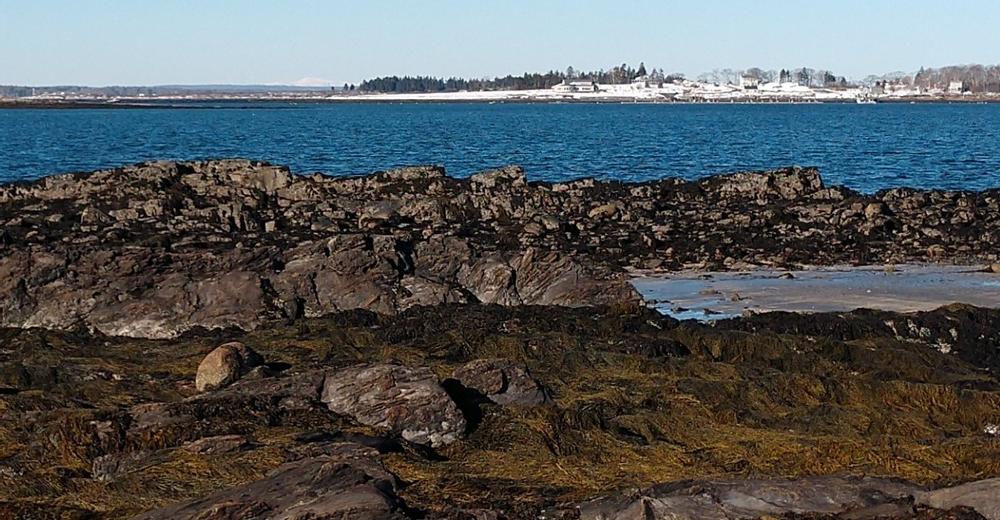 Potts Point Preserve - Maine Trail Finder