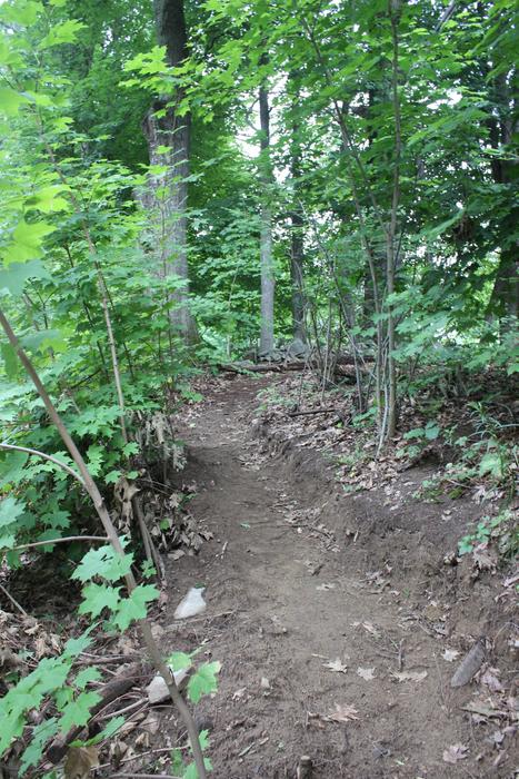 Nelson Preserve - Maine Trail Finder