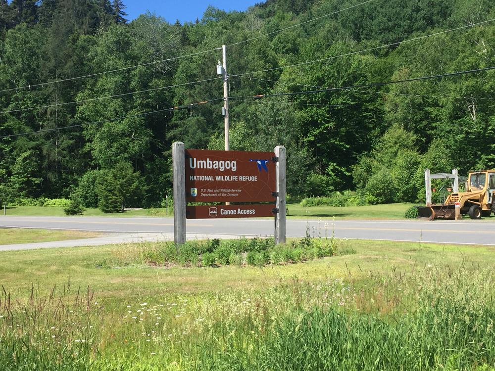 Androscoggin River Trail: Magalloway River - Maine Trail Finder