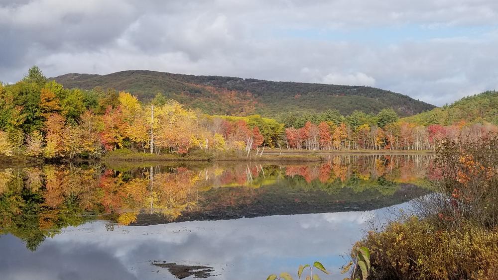 Mt Cutler Park & Conservation Area - Maine Trail Finder