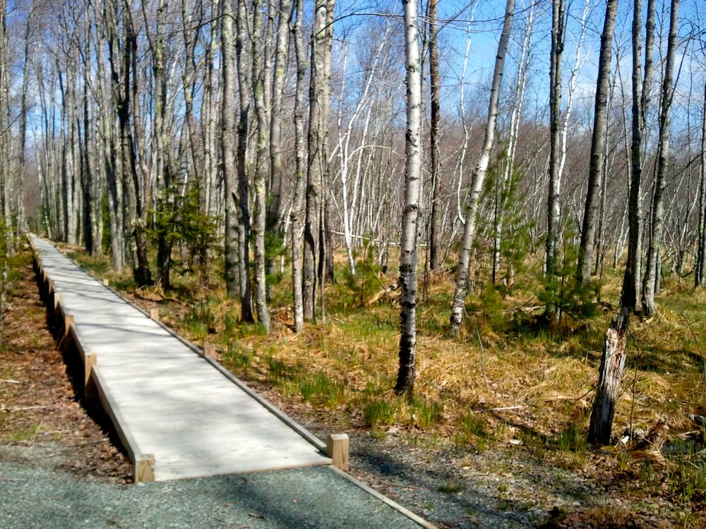 Acadia National Park - Jesup Path and Hemlock Path Loop - Maine Trail ...