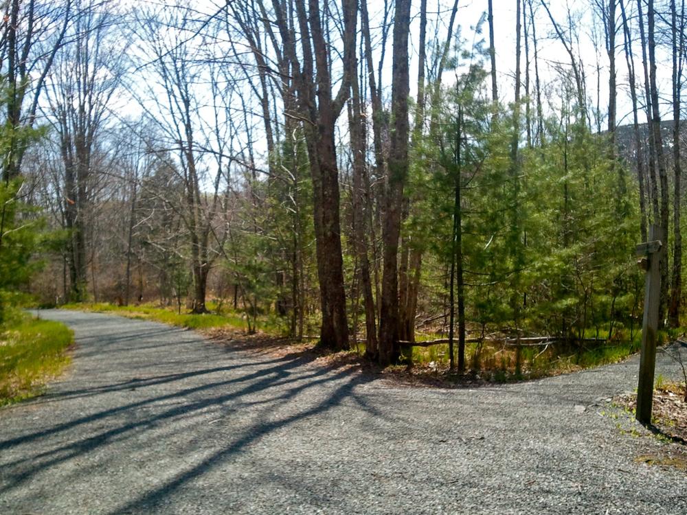 Acadia National Park - Jesup Path and Hemlock Path Loop - Maine Trail ...