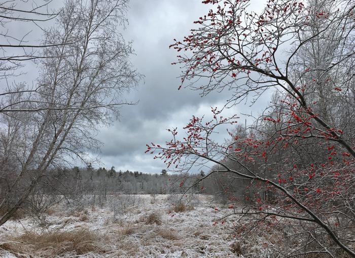 Acadia National Park - Jesup Path and Hemlock Path Loop - Maine Trail ...