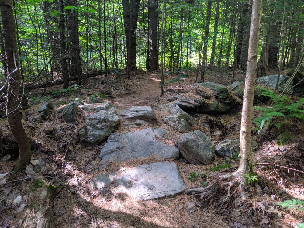 Titcomb Mountain Bike Trails - Maine Trail Finder