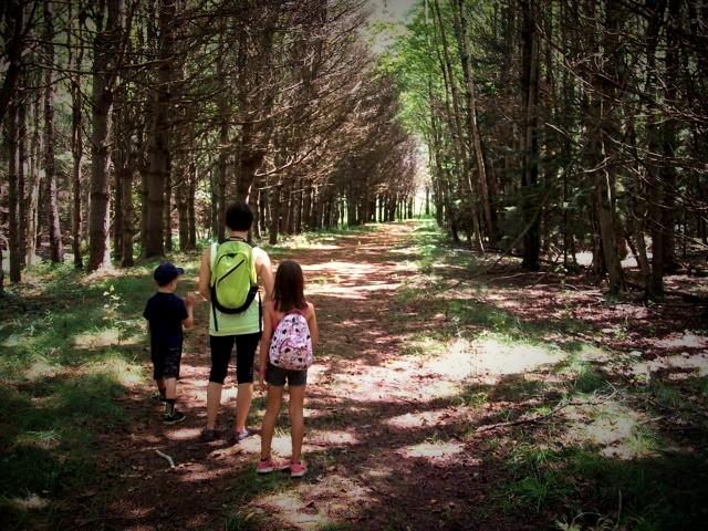 Mitchell Field - Maine Trail Finder