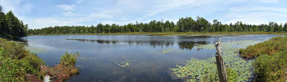 Morse Pond Preserve - Maine Trail Finder