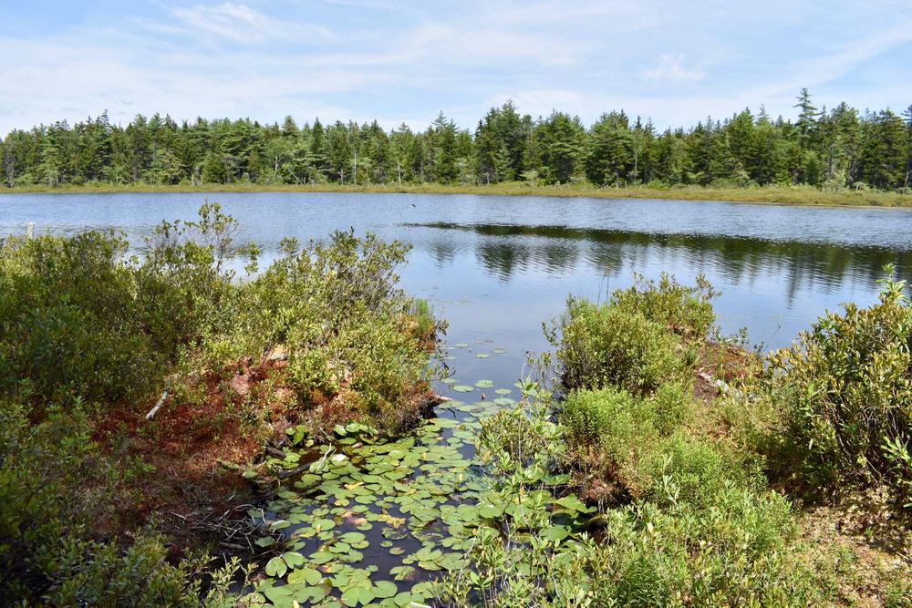 Morse Pond Preserve - Maine Trail Finder