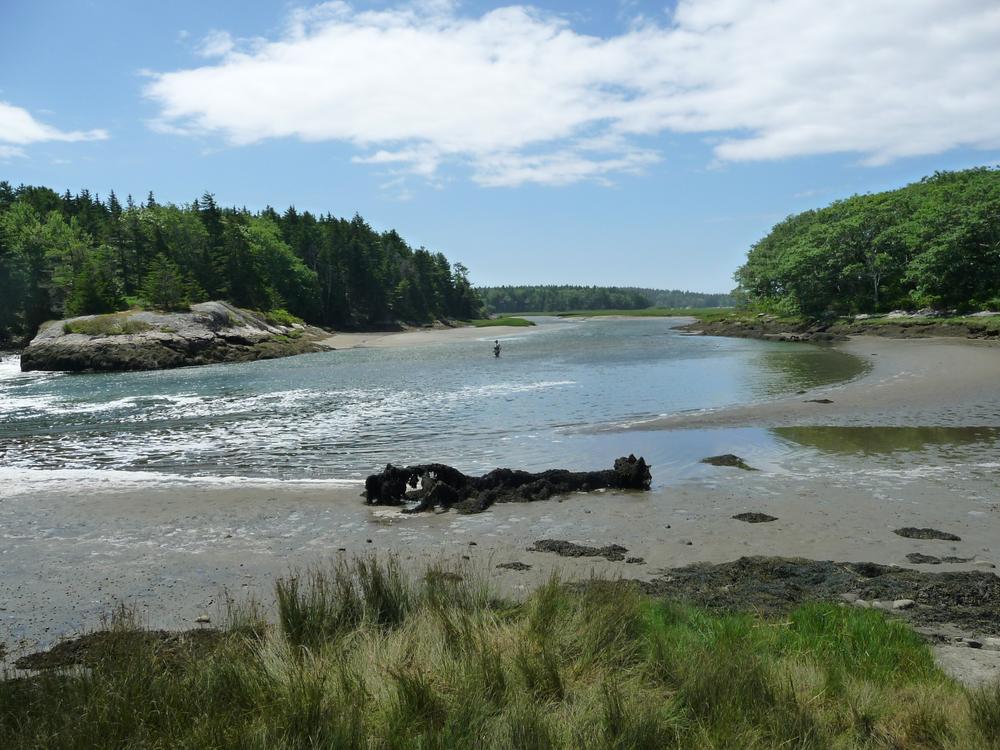 Spirit Pond and McDonald Sanctuary Preserve - Maine Trail Finder