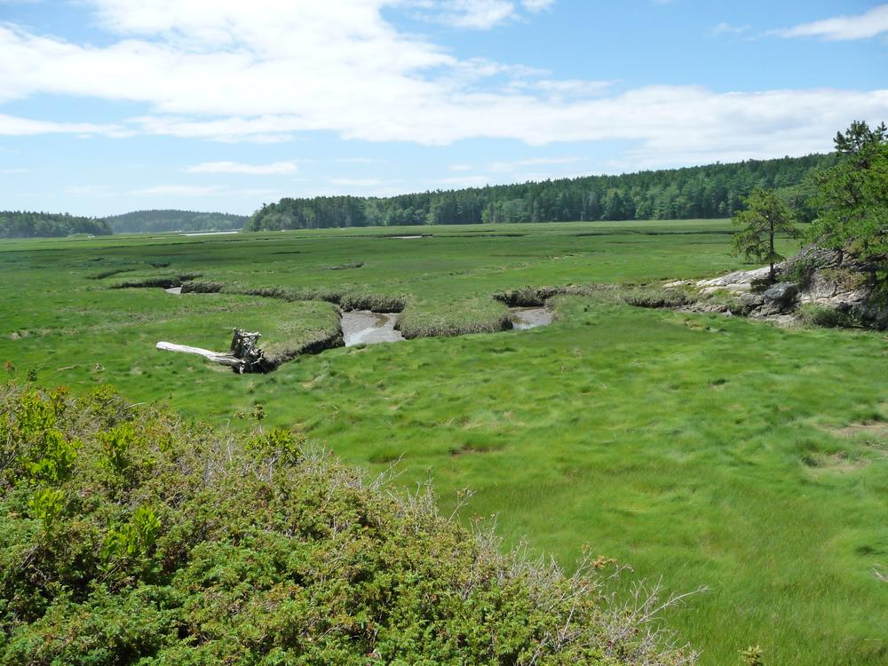 Spirit Pond and McDonald Sanctuary Preserve - Maine Trail Finder