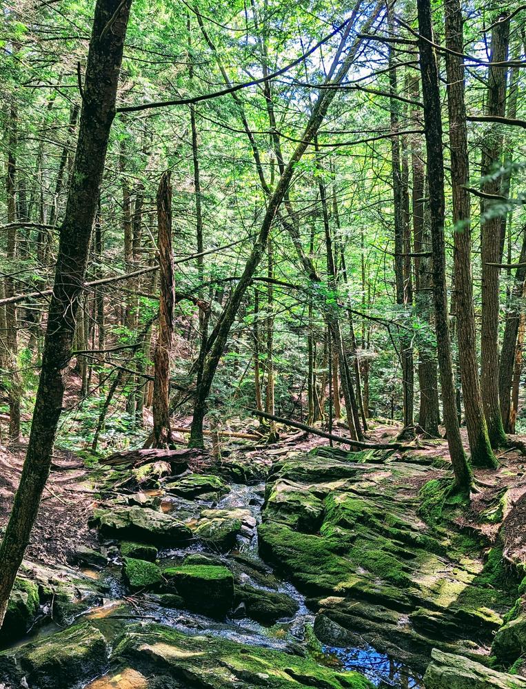 Fuller Farm - Maine Trail Finder