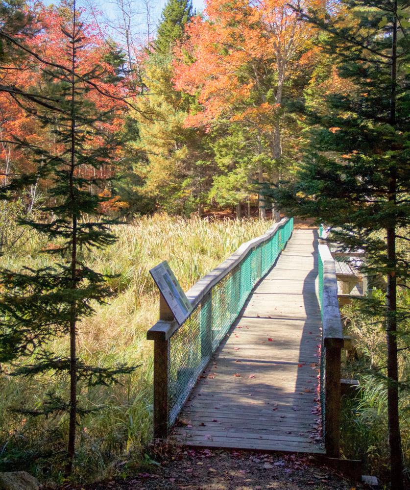 Penny Lake Preserve - Maine Trail Finder