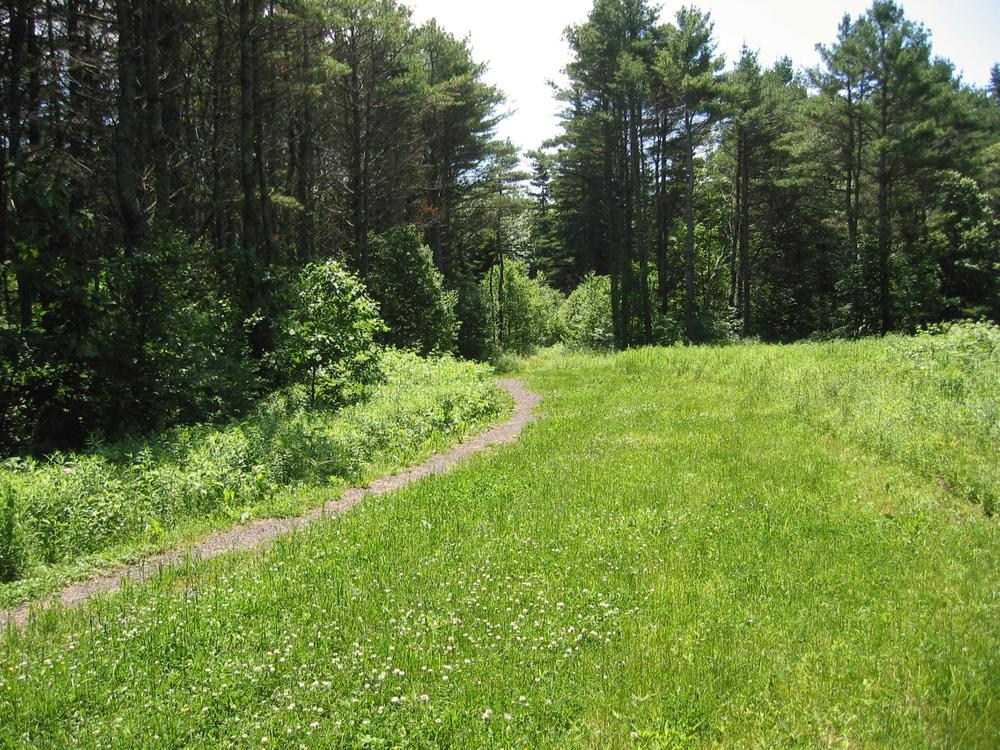 Penny Lake Preserve - Maine Trail Finder