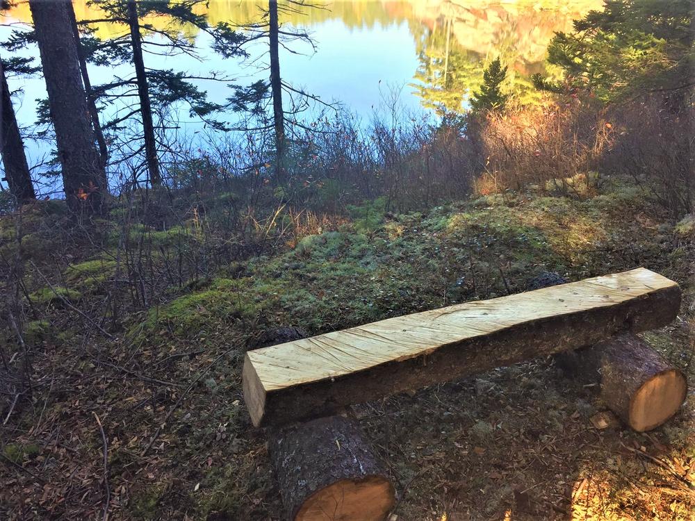 Peter's Pond - Maine Trail Finder