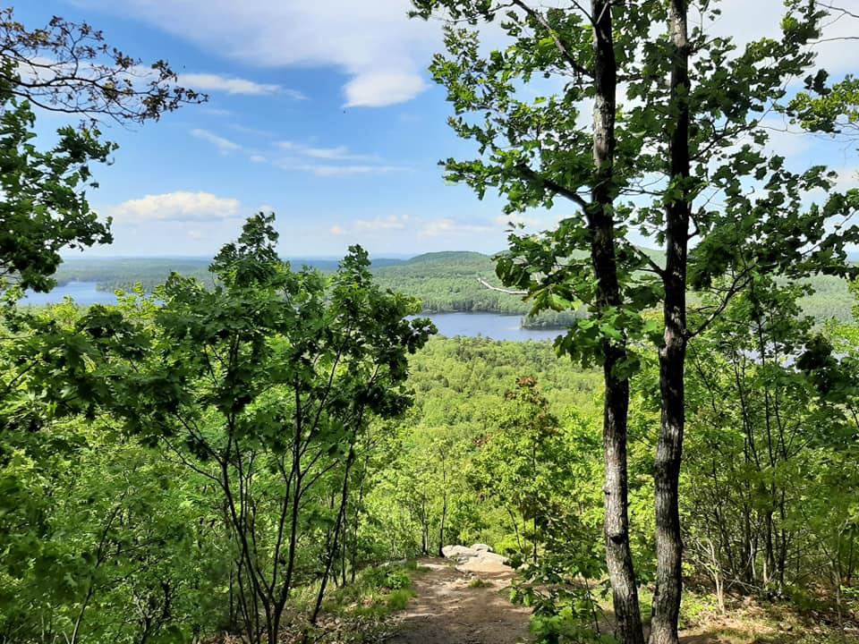 Raymond Community Forest - Maine Trail Finder