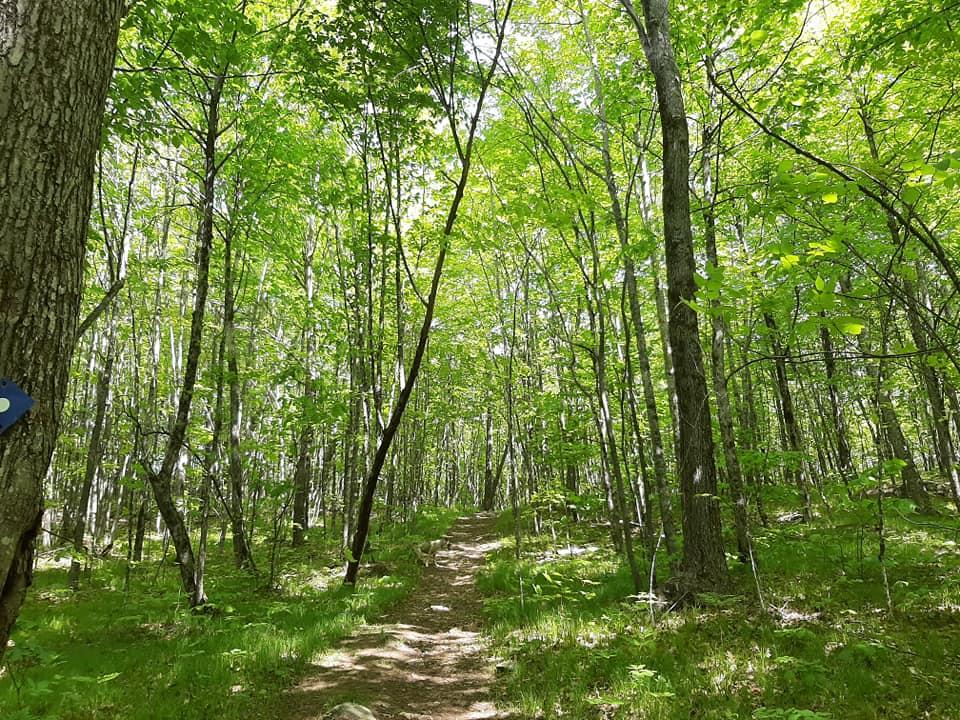 Raymond Community Forest - Maine Trail Finder