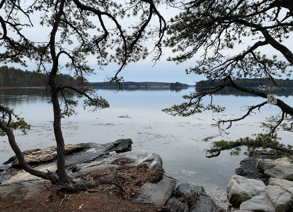 Bonyun Preserve - Maine Trail Finder