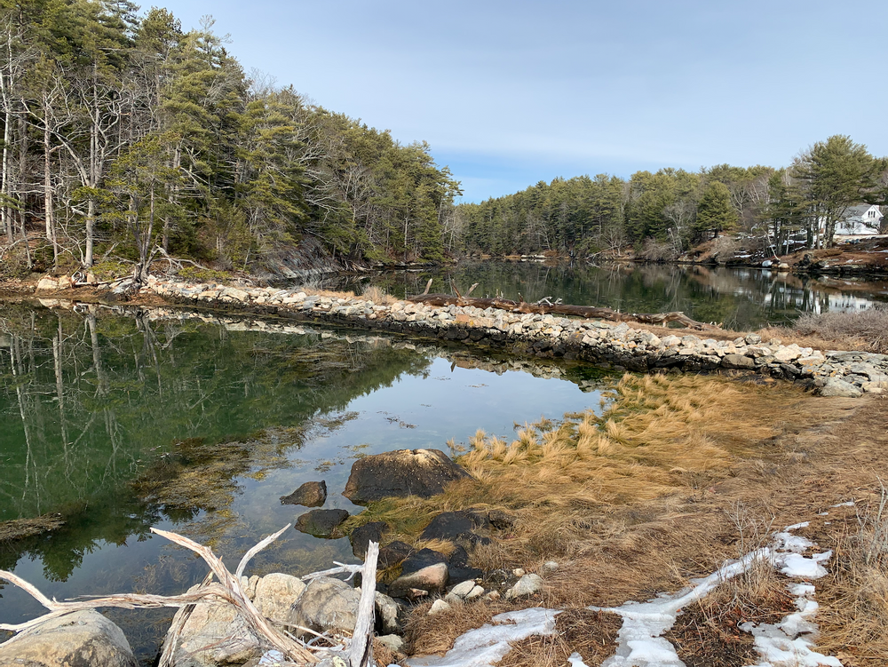 Bonyun Preserve - Maine Trail Finder