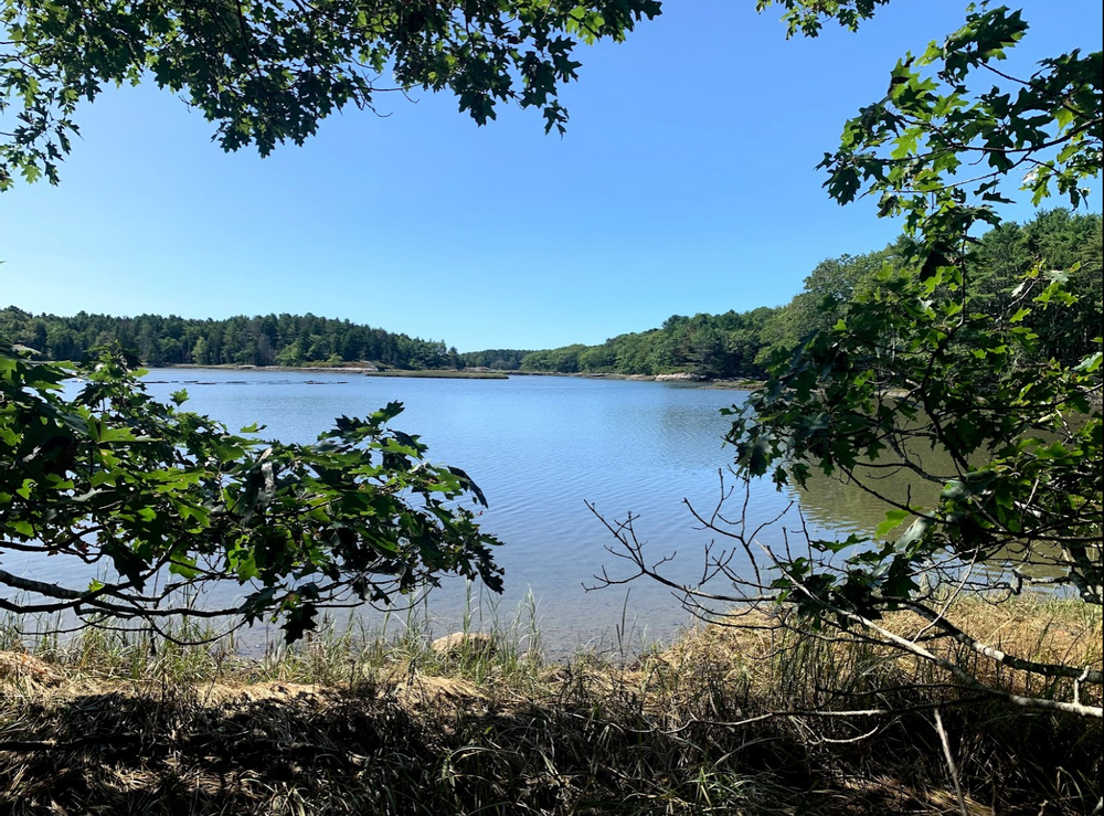 Spirit Pond and McDonald Sanctuary Preserve - Maine Trail Finder